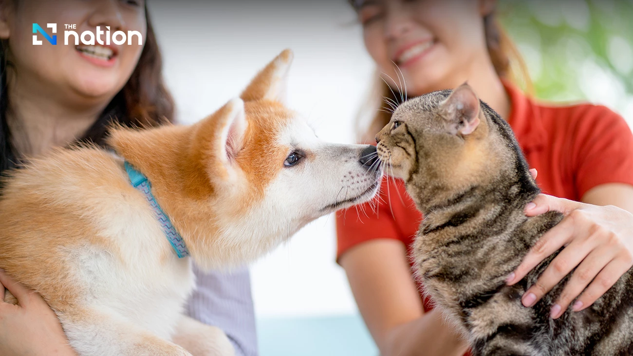 The Rise of Pet Humanization: A Major Driver of Growth in Thailand's Pet Market - Thailand ...
